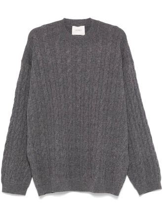 Lisa Yang pull Oskar - Gris