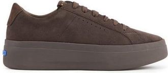 Geox Baskets basses en cuir