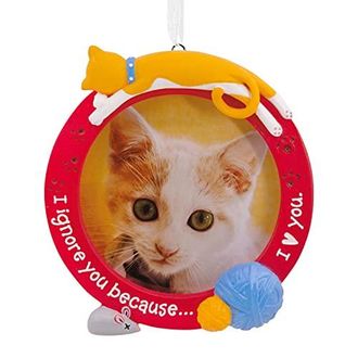 Hallmark Bilderrahmen mit Aufschrift I Ignore Because I Love Cat, Weihnachtsdekoration, Bilderrahmen f&uuml;r Katzenliebhaber