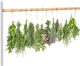 Islandburner Bild auf Leinwand Frische Kräuter Hängen Vor Weißem Hintergrund Thymian Minze Basilikum Rosmarin S Bilder Wandbilder Poster