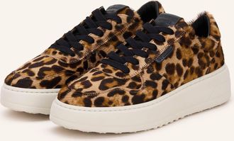 Copenhagen Copenhagen Studios Sneaker cph77 braun