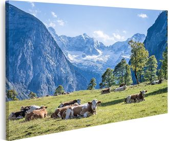 Islandburner Bild auf Leinwand Kuehe Auf Alpiner Wiese Vor Majestaetischen Bergen Im Sonnenschein Bilder Wandbilder Poster