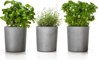 Urbanature Beton Blumentopf mit Wasserspeicher, Kräutertopf 3´er Set, bis 13 cm Durchmesser, mit Inneneinsatz für Selbstbewässerung