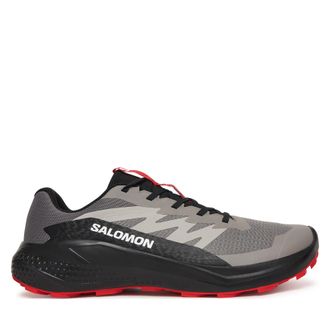Salomon Laufschuhe Salomon Alphaglide L48000800 Grau