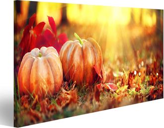 Islandburner Bild Bilder auf Leinwand Herbst Halloween Kürbisse. Orange Kürbise über hellem herbstlichem Naturhintergrund Wandbild, Poster, Leinwandbild Oar