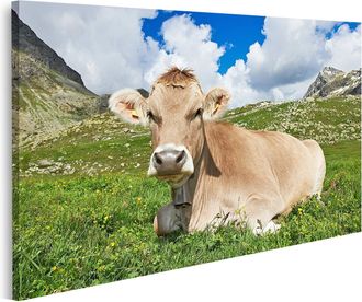 Islandburner Bild auf Leinwand Braune Kuh Auf Grüner Grasweide Bilder Wandbilder Poster