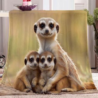 Generic Decke Tier Erdm&auml;nnchen Bunt, Warm Flauschig Flanell Kuscheldecke f&uuml;r Herbst Winter, Weichen Bequem Drucken Decke als Sofadecke Schlafdecke Bett&uuml;berwur