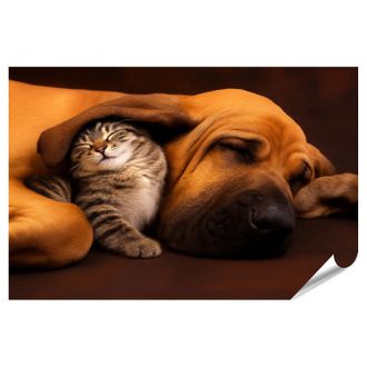 Islandburner XXL Bild Poster Hund und Katze kuscheln gemütlich im Schlaf vereint auf braunem Hinter Premium Bilder 90x60cm