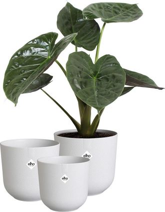 ELHO Jazz Rund Blumentöpfe -Pflanzentopfe für den Innenbereich - 100% recycelter Kunststoff - einzigartige Struktur - 3er Set - Ø 14, 16, 19 cm - Weiß/Seid