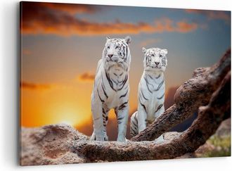 Arttor Wandbilder Dekoration Wohnzimmer Tiger weiß Rock Sonnenuntergang Bilder auf Leinwand 120x80cm Leinwandbild Schlafzimmer Deko Wand Kunstdruck Art Groß 