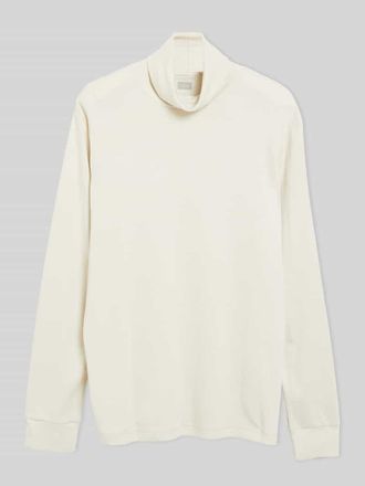s.Oliver Red Label Langarmshirt mit Rollkragen Jersey