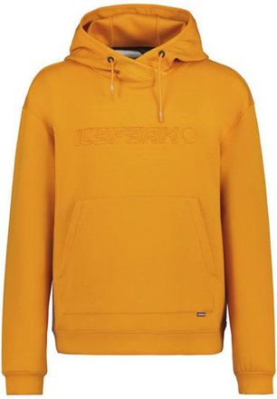 Icepeak Clarion M - Hoodie - Herren