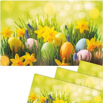 Matches 21 matches21 Frühlingshafte Tischsets Platzsets Motiv abwaschbar Ostereier Osterglocken Blumenwiese bunt 4er 43,5x28,5 cm
