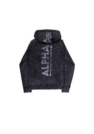 Alpha Industries Hoodie Backprint Hoodie Vintage