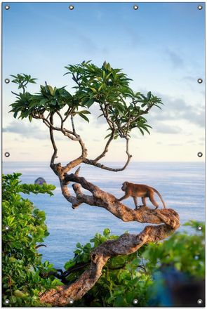 Wallario Outdoor-Poster f&uuml;r Garten oder Balkon AFFE auf Baum, Motivbanner Gr&ouml;&szlig;e: ca. 120 x 180 cm, Outdoor-Bild