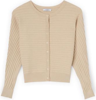 Motivi Femme, Pulls, Beige, Taille: 40 FR Gilet en Tricot C&ocirc;tel&eacute; Horizontal
