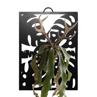 Generic Wandmontierter Pflanzgef&auml;&szlig;,Dekorativer Blempot Pr&auml;sentationstafel - Wandpflanzer F&uuml;r Outdoor,Geeignet f&uuml;r Balkon, Fensterbank, Patio, Eingang, Wohnzim