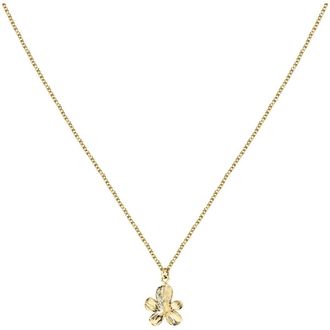 Cleor Collier en acier