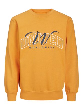 Jack & Jones Mens JORBRINK Studio Sweat Crew Neck Sweatshirt, Iceland Poppy, L