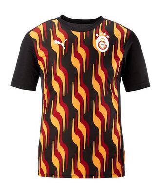 Puma T-Shirt PUMA Galatasaray Istanbul Training T-Shirt Polyester