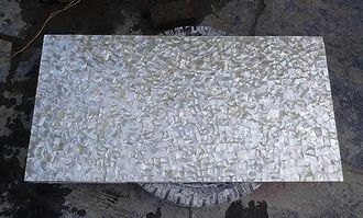 Generic Dessus de table de canap&eacute; en nacre | &Eacute;l&eacute;gante table basse et de salle &agrave; manger | 76,2 x 122,9 cm &eacute;l&eacute;gante | Table dappoint de jardin en pierres pr&eacute;cie