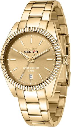 Sector Montre en acier