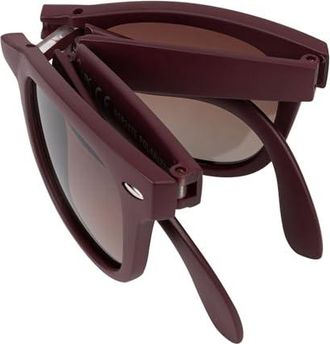 Lakeland Footwear Camerton Lunettes de soleil polarisées pliables, Bruyère mate, Taille unique