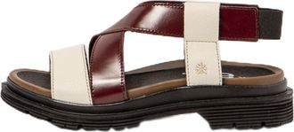 Art Art Damen 1553 Birmingham Flache Sandale, Cremefarben, Bordeaux, 39 EU