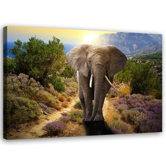 Feeby Vlies Leinwandbild XXL Afrikanischer Elefant Savanne Afrika 120x80 cm Wandbild Kunst Bilder Schlafzimmer Deko Wohnzimmer Pflanzen Sonne Wei&szlig;e Sto&szlig;z&auml;hn