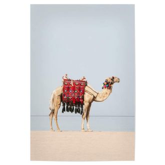 artboxONE Poster 30x20 cm Reise Camel at The Beach hochwertiger Design Kunstdruck - Bild Camel Camel Kamel