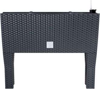 Prosperplast Pot auto-arrosant rato Case DRTC600H Anthracite