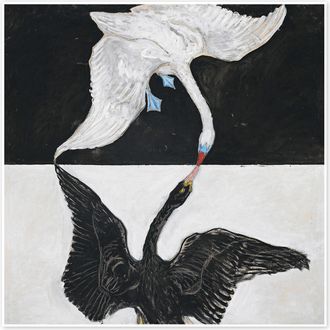 Posterlounge Der Schwan, Nr. 1 Poster von Hilma af Klint 100 x 100 cm Schwarz-Weiß Wandbilder Wanddeko