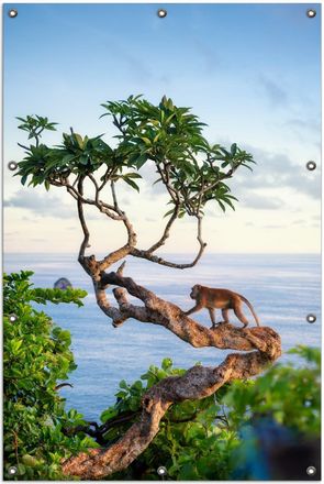 Wallario Outdoor-Poster f&uuml;r Garten oder Balkon AFFE auf Baum, Motivbanner Gr&ouml;&szlig;e: ca. 100 x 150 cm, Outdoor-Bild