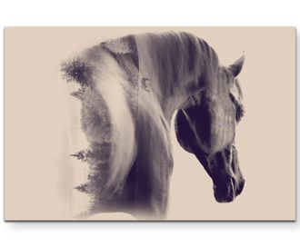 Paul Sinus Art Leinwandbilder | Bilder Leinwand 120x80cm Künstlerischer Pferdekopf