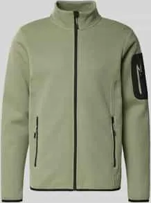 Icepeak Regular Fit Fleecejacke mit Stehkragen Modell BREDSTEDT