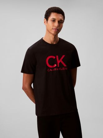 Calvin Klein Herren T-Shirt Kurzarm Graphic Tee Rundhalsausschnitt, Schwarz (Black), L