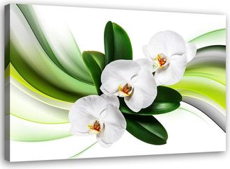 Feeby Wandbild Orchideen Druckbild Leinwandbild Blumen Weiß 100x70 cm