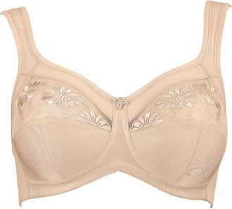 Anita BH Safina