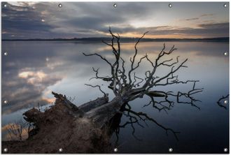 Wallario Outdoor-Poster f&uuml;r Garten oder Balkon Baum im Abendlicht, Motivbanner Gr&ouml;&szlig;e: ca. 120 x 180 cm, Outdoor-Bild