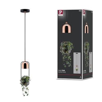 Paulmann 79749 Pendelleuchte Fanja Pflanzenleuchte max. 20 Watt H&auml;ngelampe Schwarz, Kupfer Metall GU10 ohne Leuchtmittel