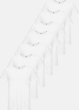Tazzio Shirt E106