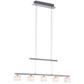 Paul Neuhaus Lampe suspendue 5 lumi&egrave;res Hydra m&eacute;tal - 2209-55