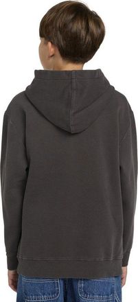 Element Hoodie Lowcase Pigment