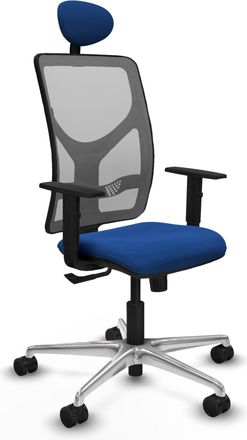 Piqueras y Crespo B&uuml;rostuhl mit 1D-Armen, h&ouml;henverstellbare Lendenwirbelst&uuml;tze und festes Kopfteil, ausgestattet mit 3 Positionen und Schneidschaum, Grau/Blau