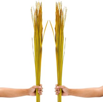 Leewadee Dekoration für Bodenvasen, 2 Bündel Getrocknetes und Coloriertes Natur-Gras, Trockenblumenstrauß Für Wohnzimmerdeko, 115 cm, Gelb