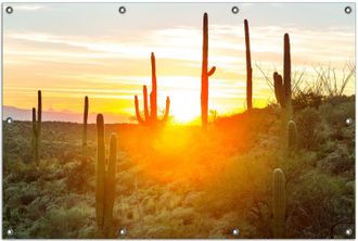 Wallario Outdoor-Poster f&uuml;r Garten oder Balkon Sonnenaufgang in der W&uuml;ste, Motivbanner Gr&ouml;&szlig;e: ca. 100 x 150 cm, Outdoor-Bild