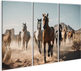 Islandburner Bild auf Leinwand natürliches Pferd natürliches Pferd Bilder Wandbilder Poster