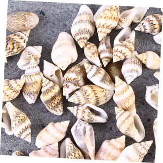 Garneck 50 Stück Kleine Natürliche Meeresschnecken Muscheln für Heimdekoration DIY Bastelprojekte Aquarium Deko Strand Meer Zubehör