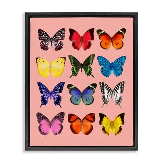 Stupell Industries LISH Creative Leinwandbild, Motiv: Schmetterlingsarten auf rosa-grauem Rahmen, 78 x 63 cm