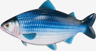 Moschino Fischsack - Blau